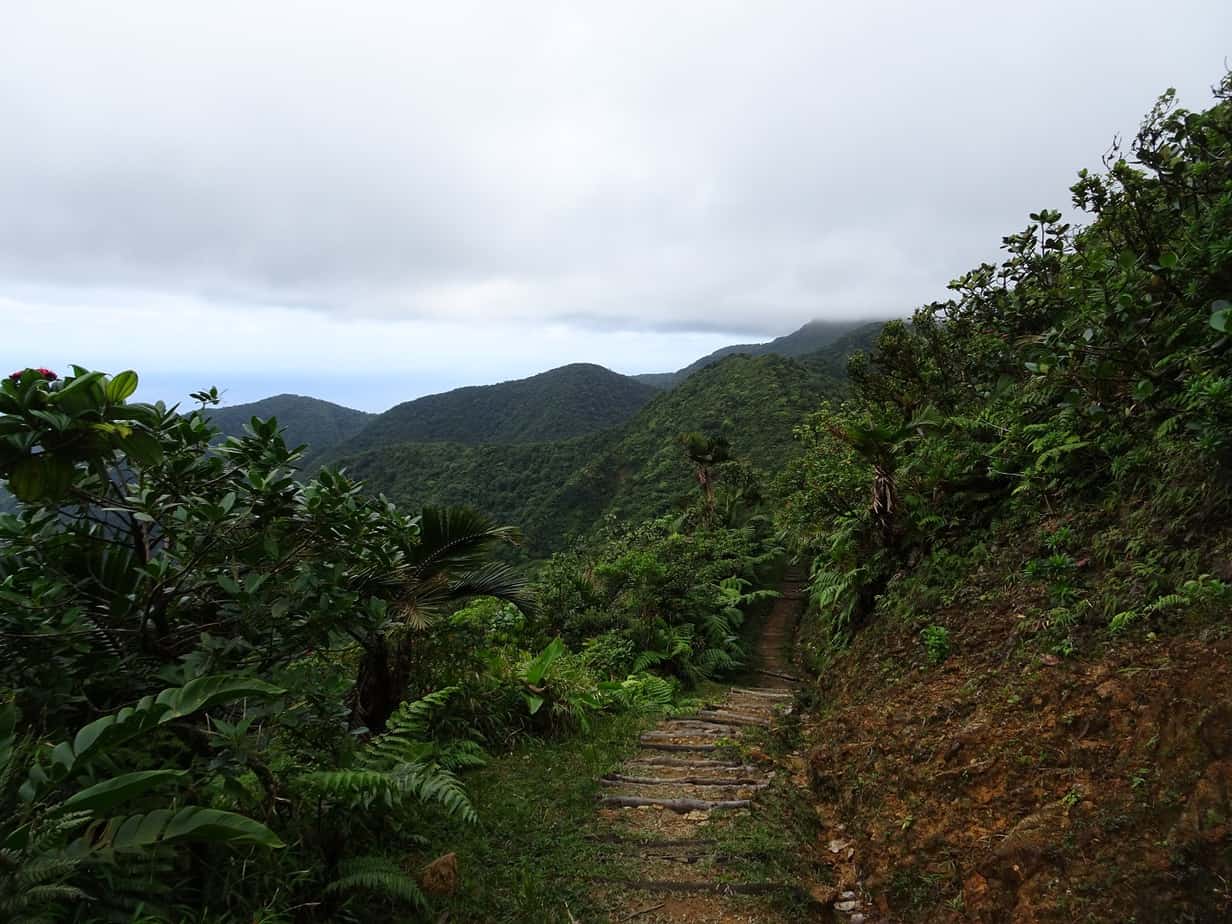 Hiking to Freshwater Lake, Boeri Lake and Middleham Falls, Dominica