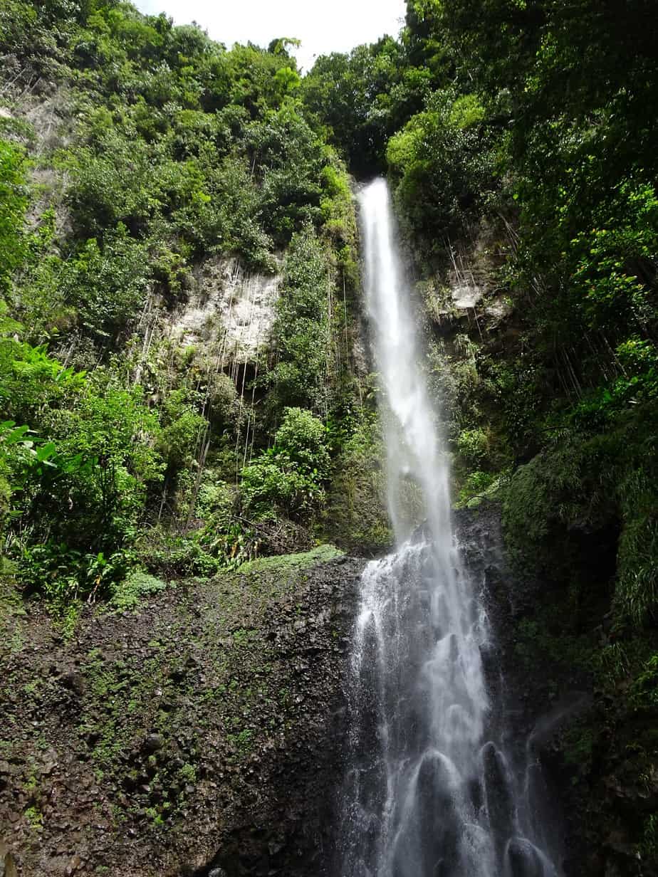 The 5 Most Beautiful Waterfalls in Dominica