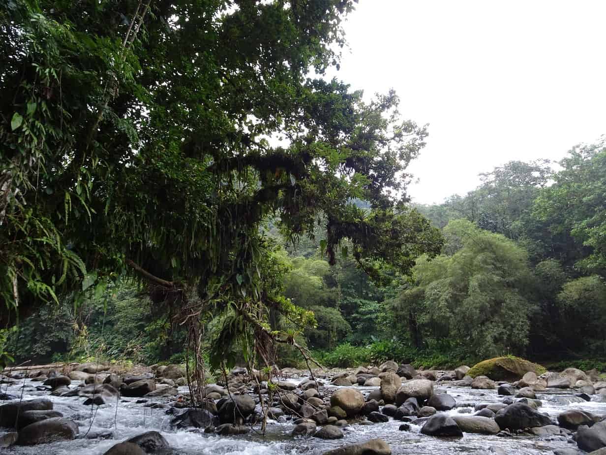 Hiking to Jacko Steps on Dominica - Perchance to Roam