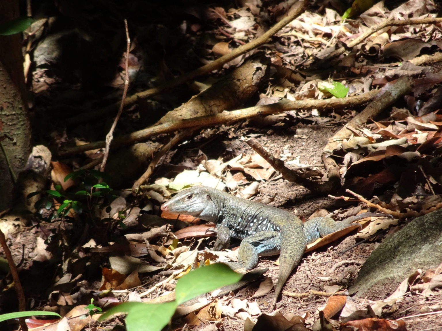 The Indian River, Fort Shirley and Other Cool Things to Do in ...