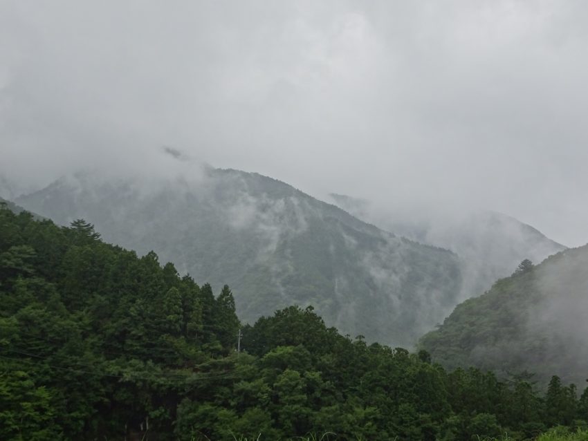 9 Unique Things to Do in Shikoku's Iya Valley