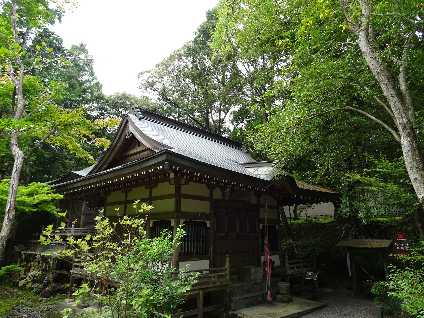 10 Amazing Things to Do in Kochi, Japan – A Guide to Shikoku’s Most ...