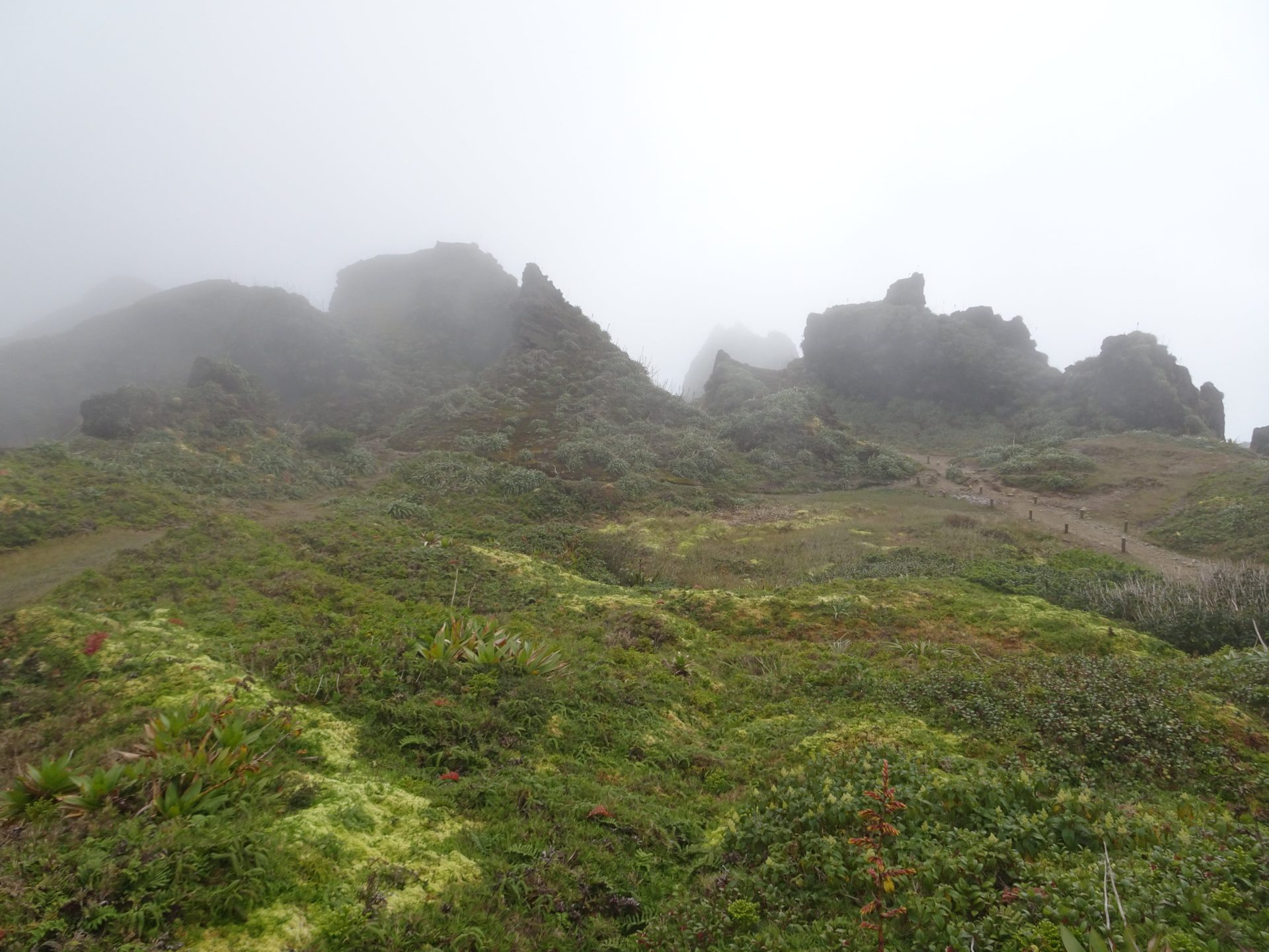What to Know About Climbing La Soufrière Volcano, Guadeloupe