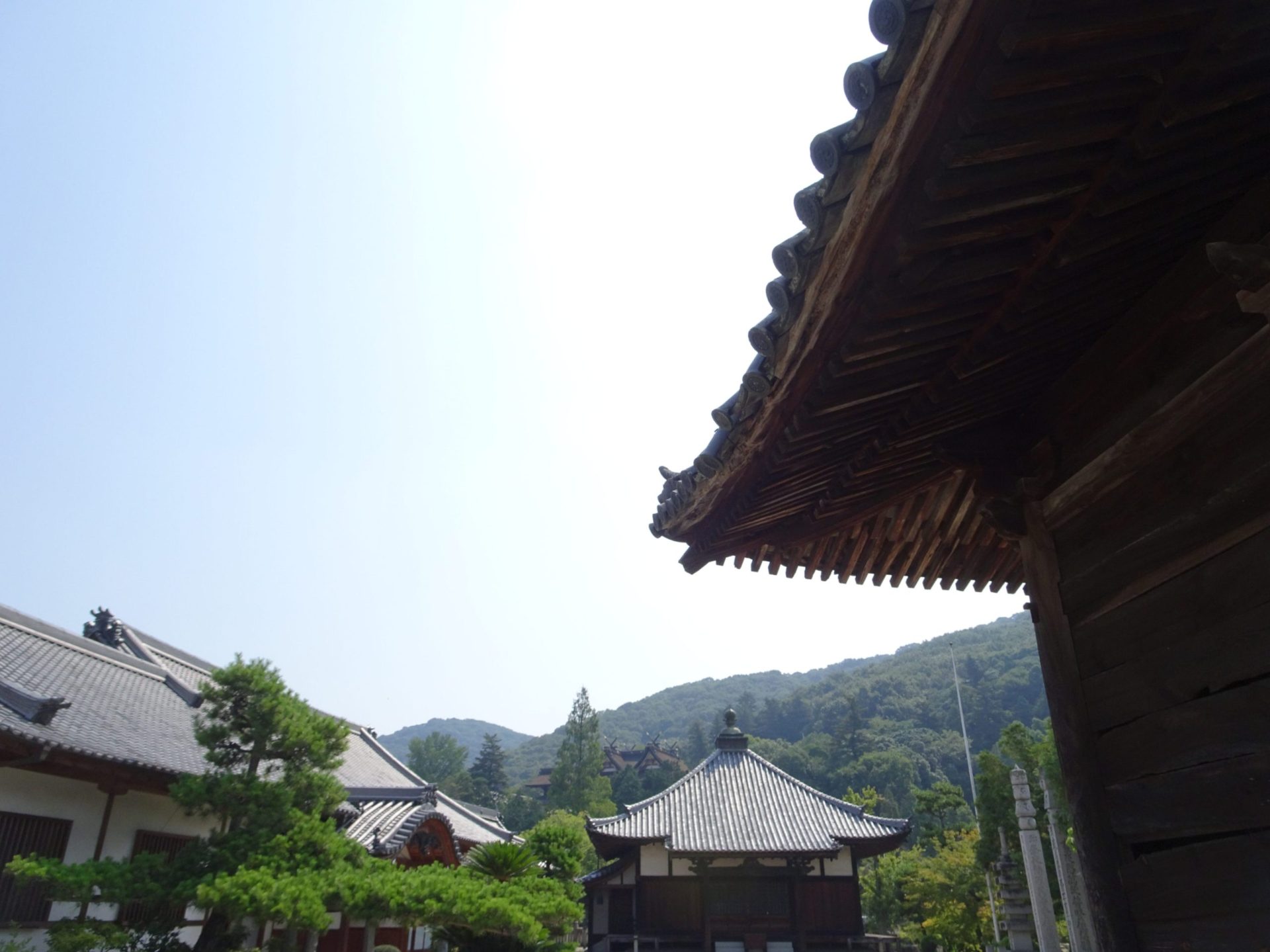 What to Know About Cycling the Kibi Plain in Rural Okayama, Japan