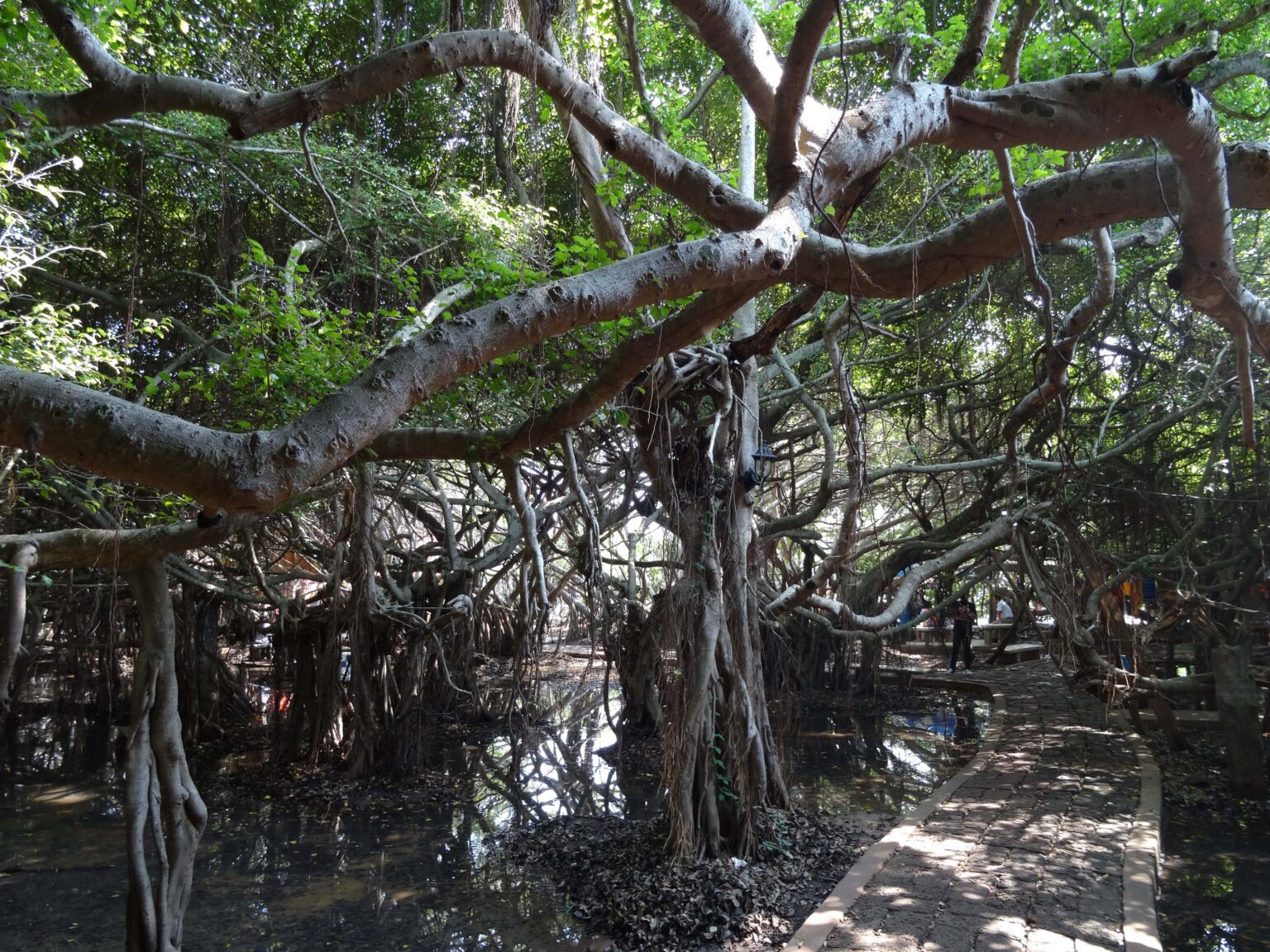 What to Know About Exploring Prasat Phimai Khmer Temple, Thailand
