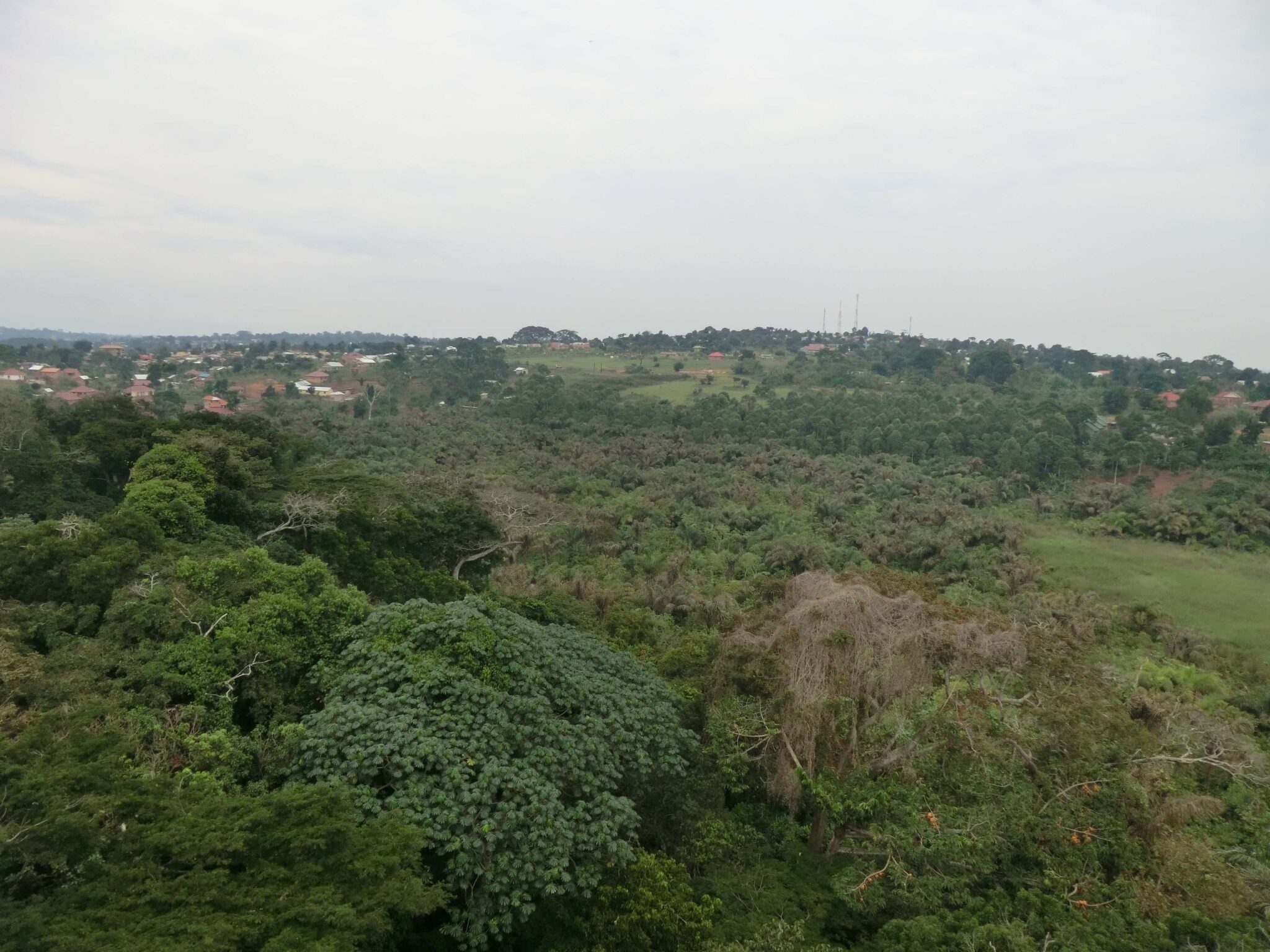 5 Awesome Things to Do in Entebbe, Uganda - Perchance to Roam