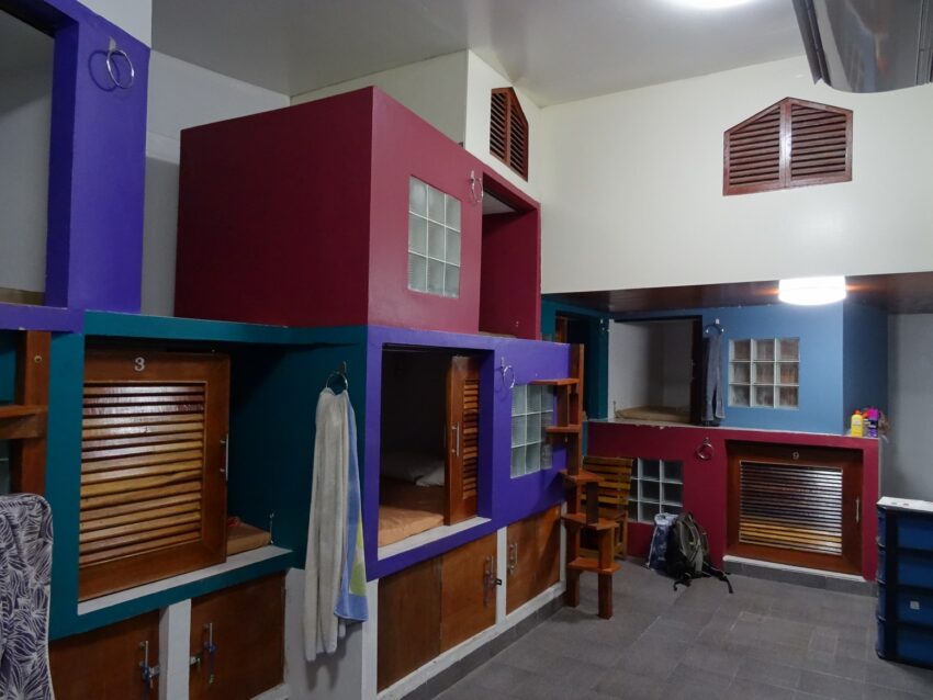 Top or Bottom Bunk? The Eternal Question in Every Hostel Dormitory