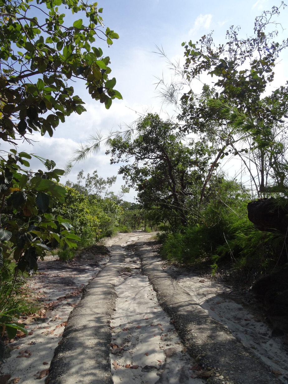 The Complete Guide to Thailand’s Pha Thaem National Park - Perchance to ...