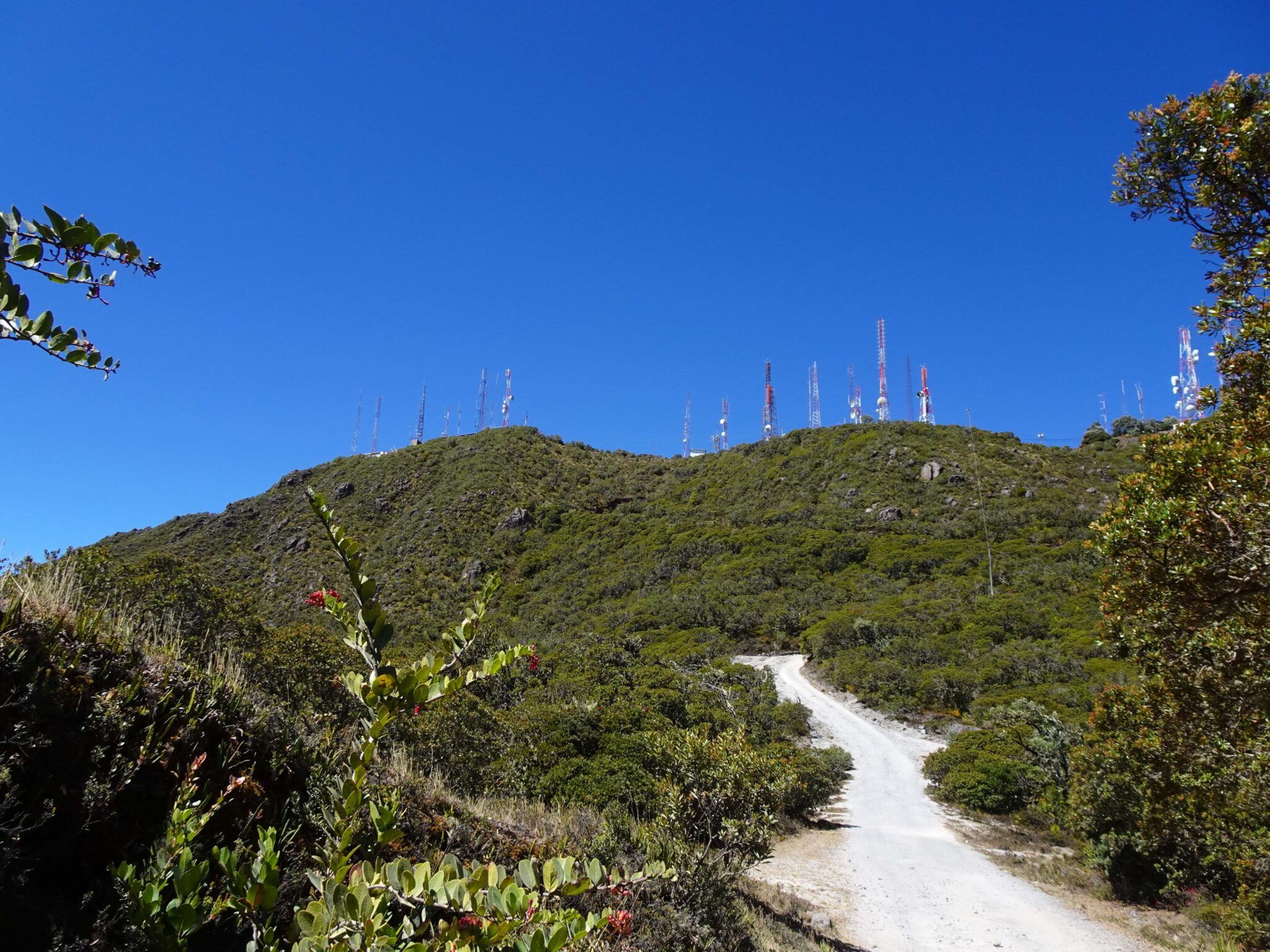 The Ultimate Guide to Volcán Barú – Panama’s Highest Mountain