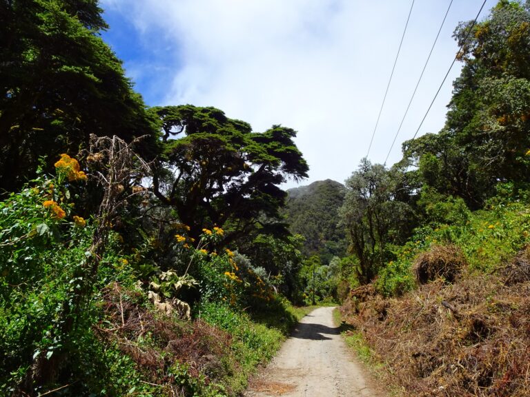 The Ultimate Guide to Volcán Barú – Panama’s Highest Mountain