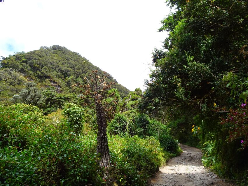 The Ultimate Guide to Volcán Barú – Panama’s Highest Mountain