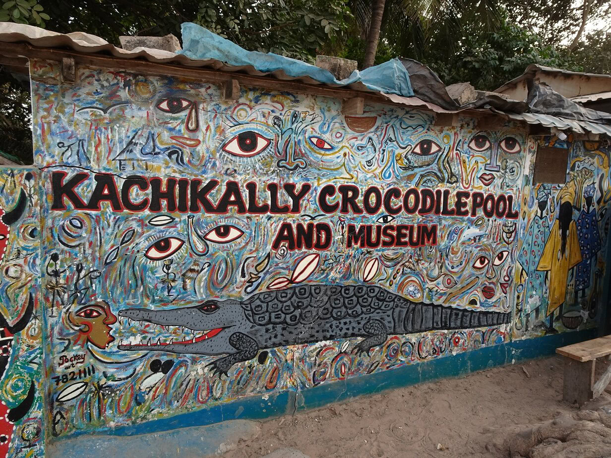 What to Know About Visiting The Gambia’s Sacred Crocodile Pools ...